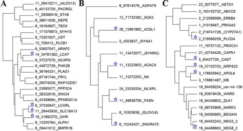 Dendrogram Drawn Based On Correlation Matrix Between The Effects Of The Download Scientific