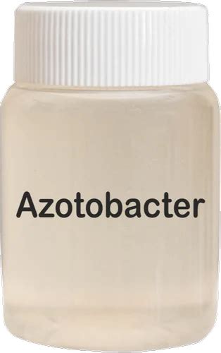 Bio Fertilizer Azotobacter Liquid For Agriculture Packaging Type