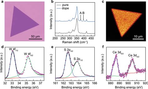 a optical microscope image for a typical ce‐ws2 monolayer on a sio2 si