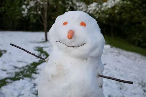 Building A Snowman Can Kill Off Your Lawn And Trigger Fungi Expert