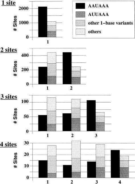 Patterns Of Variant Polyadenylation Signal Usage In Human Genes