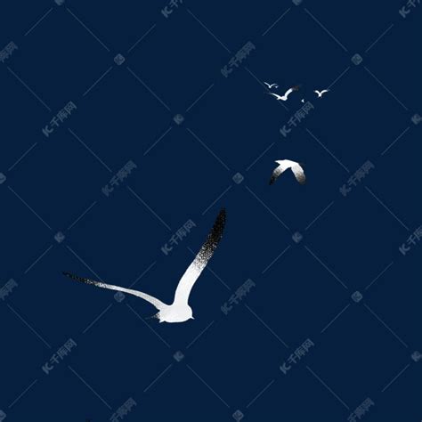 灰色海鸥飞鸟素材图片免费下载 千库网