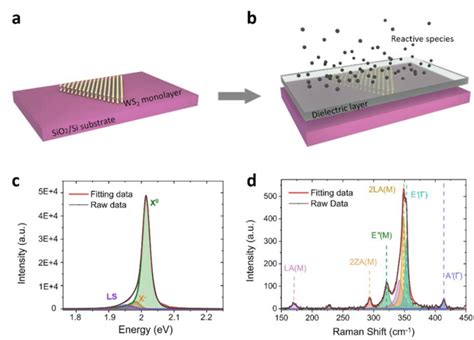 A Schematics Of A Ws2 Monolayer On Sio2 Si Substrate B Schematics