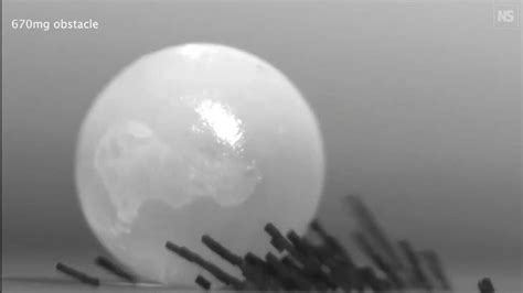 자신보다 큰 물체 운반하는 초소형 군집 로봇 테크레시피