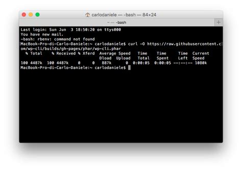 Wp Cli Wordpress Da Linea Di Comando Htmlit