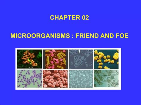 Chapter 2microorganisms Friends And Foecbseclass8 Ppt