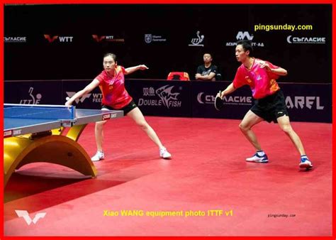 Xiao Wang Ranking History Pingsunday