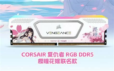 Netac Anuncia Memórias Ddr5 8000 Com Chips Da Sk Hynix