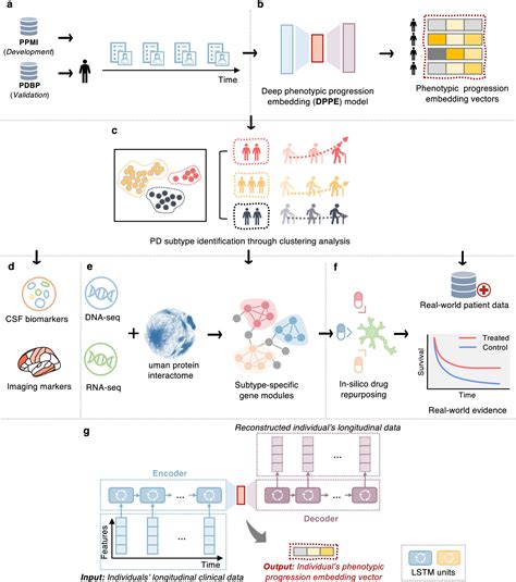 Unlocking New Insights How Machine Learning Unveils Subtypes Of Parkinsons Disease Insider Techno