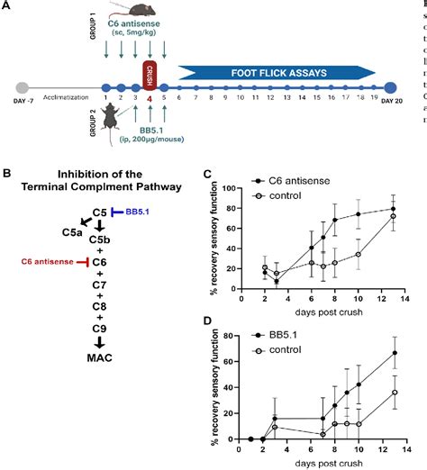 Figure 2 From The Systemic Inhibition Of The Terminal Complement System