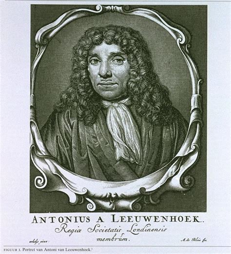 Microscopio Simples De Leeuwenhoeks
