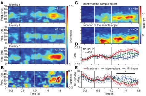 Content Specific Fronto Parietal Synchronization During Visual Working Memory Abstract