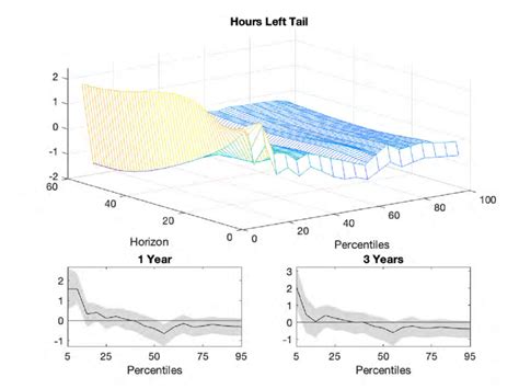 Figure D6 3d Impulse Response Of Hours Worked Of The Left Tail Of The