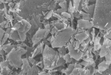 Streamlining Bone Regeneration With Co Doped Monetites