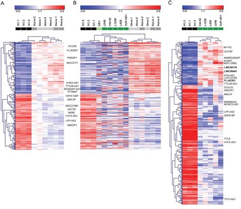 figure 1 from long noncoding rna expression profiling in normal b cell