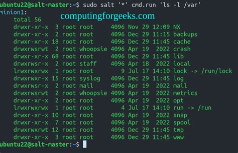 How To Install Salt Master And Minion On Ubuntu 2204 Computingforgeeks