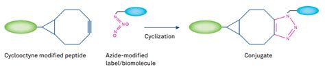 Click chemistry | Bachem