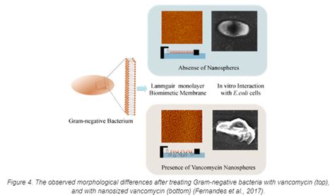 Monday Article 54 Tackling Vancomycins Ineffectiveness Against Gram