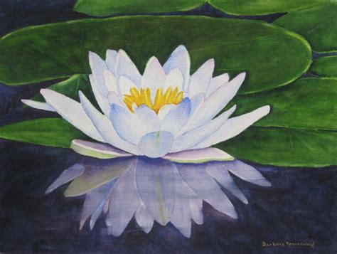 Artist Barbara Rosenzweig S Blog Art Gardening Photography And Ramblings WHITE WATER LILY