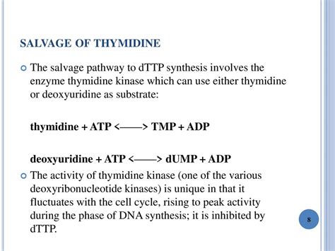 Synthesis Of Pyrimidine Nucleotides By Salvage Pathway Ppt Download