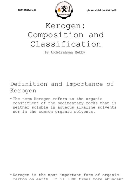 Kerogen Composition And Types Explained Pdf