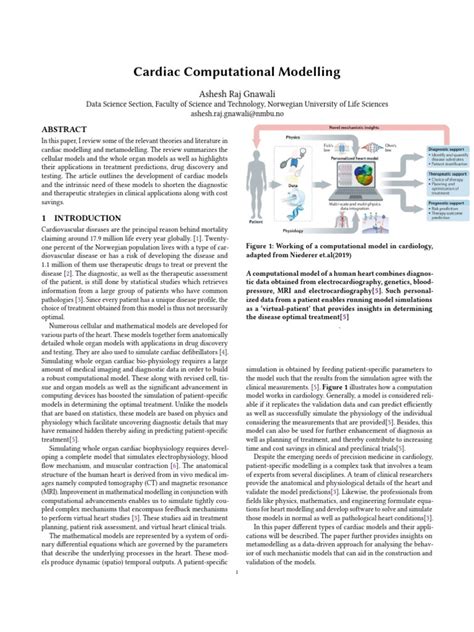 Cardiac Computational Modelling Pdf