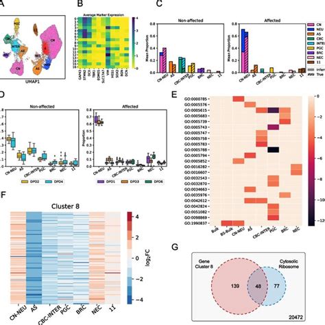 Cell Type Specific Characterization Of Transcriptomic Differences