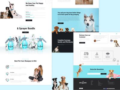 A PHP Expert Core PHP PHP MySQL Developer PHP Website Development Upwork