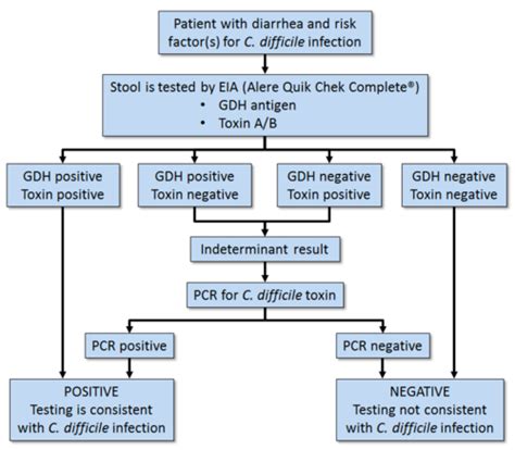Phrd 4085 Exam 2 C Diff Savage Flashcards Quizlet
