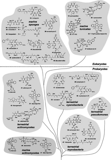 Marine Natural Products And Structural Analogues From Terrestrial