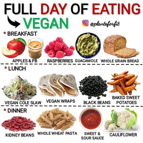 Vegan