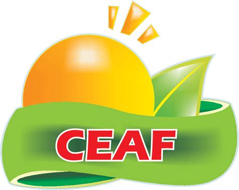 Ceaf Vn
