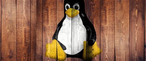 Demystifying Linux The Purpose Of Bin Usr Bin And Usr Local Bin DEV Community