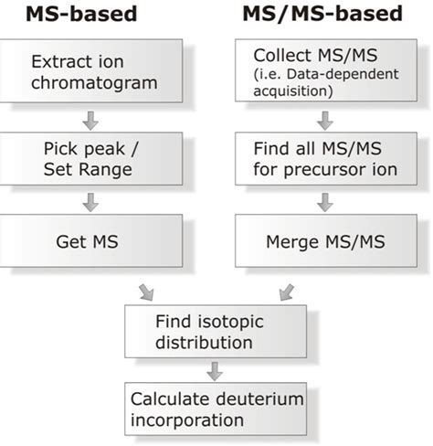 Hdx Ms And Hdx Msms Data Processing Download Scientific Diagram