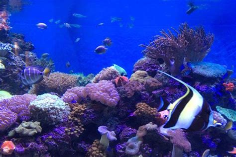 2025浩海立方海洋馆门票价格、开放时间、优惠政策成都浩海立方海洋馆成都海洋馆成都海底世界 墙根网