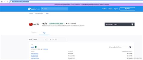 docker安装及部署 docker安装部署 csdn博客