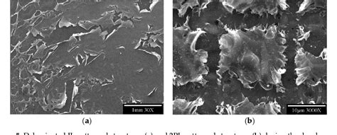 Figure 6 From Combining Interference Lithography And Two Photon Lithography For Fabricating