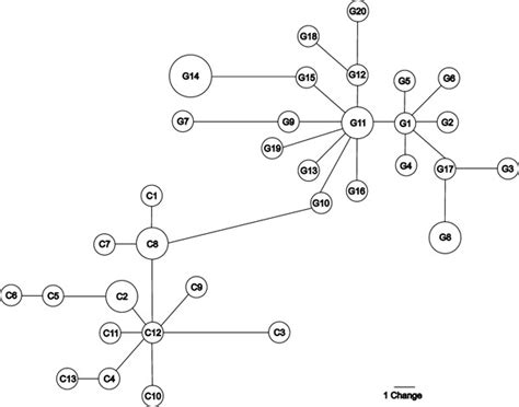 Minimum Spanning Network Showing The Relationships And Frequency Of Download Scientific Diagram