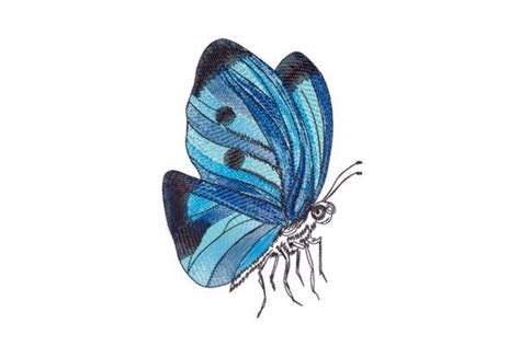 Blue Butterfly Drawing · Creative Fabrica