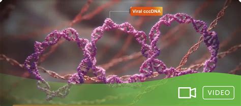 Educators Network Chb Gsk Us Medical Affairs