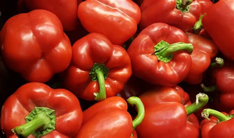 Bell Peppers Red Free Photo On Pixabay Pixabay