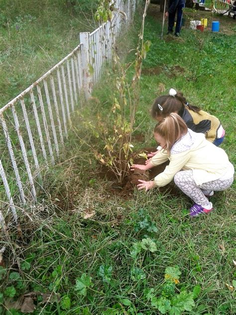 Проект Обичам природата и аз участвам