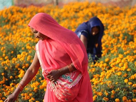 Holistic Rural Development Sahbhagi Ssk