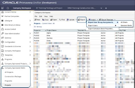 Managing Users In Bulk DRMcNatty Associates