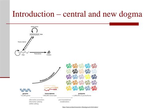 Solution Bioinformatics Proteomics Class Ppt Studypool