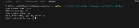 Babe Management System In Python With Free Code