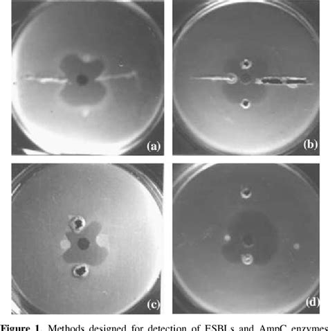 Figure 1 From Phenotypic Detection Of Extended Spectrum And Ampc Beta Lactamases By A New Spot