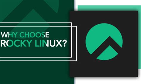 Parrot Os Vs Kali Linux Which One Is Better Linuxways