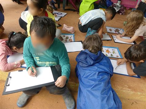 Déploiement De La Mallette Pédagogique « Lékòl Dan Bwa