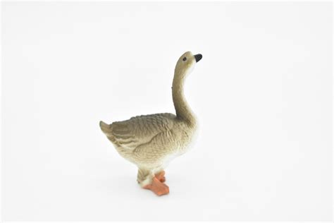 Geese Learn The Geese Life Cycle Very Nice Plastic Reproduction 4
